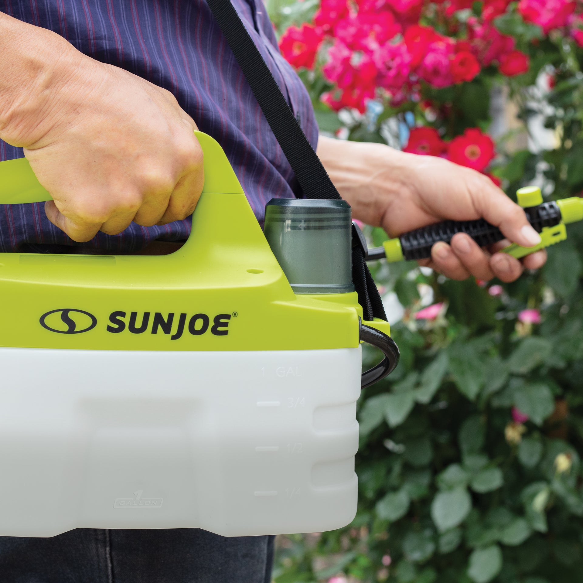 Sun Joe SJ-APS-1G Cordless All Purpose Chemical Sprayer | 4-Volt | 1-G