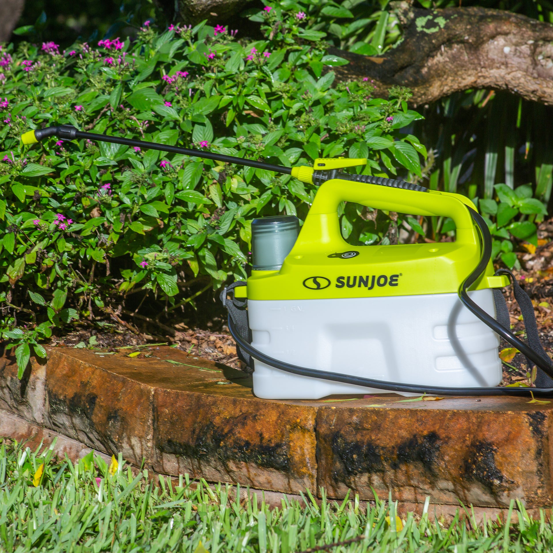 Sun Joe SJ-APS-1G Cordless All Purpose Chemical Sprayer | 4-Volt | 1-G