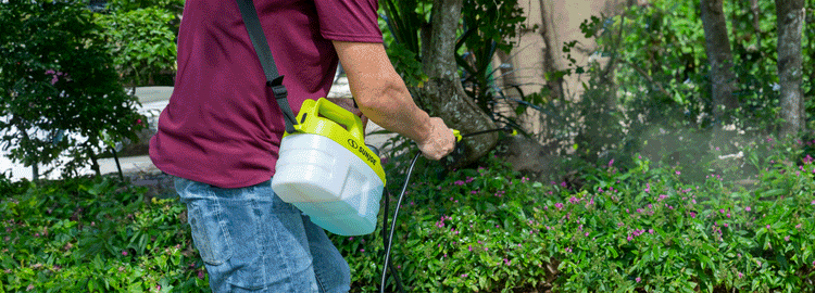 Sun Joe SJ-APS-1G Cordless All Purpose Chemical Sprayer | 4-Volt | 1-G