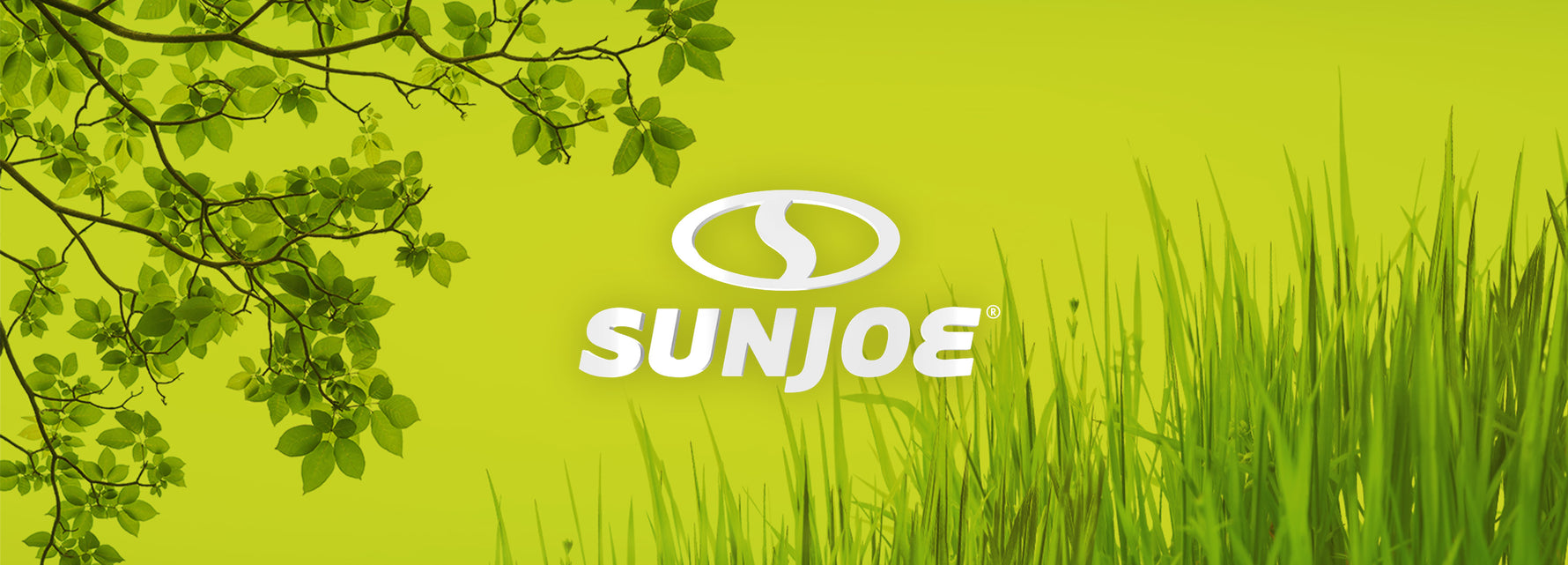 Sun Joe 24V-PS8-LTE 24-Volt 2-Ah Cordless Telescoping Pole Chainsaw